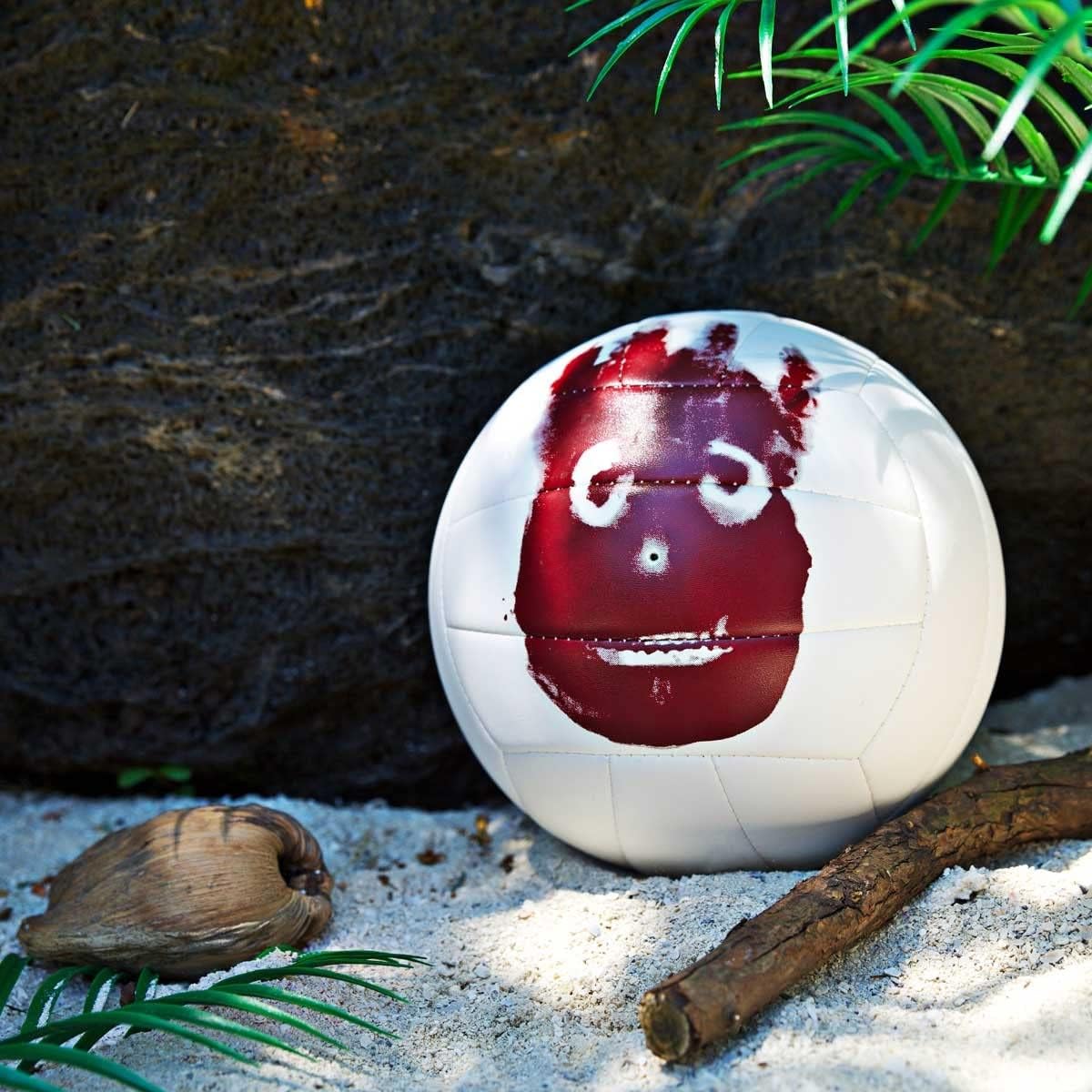WILSON MR Castaway Volleyball für 19,99 Euro 💸 | EasyDealz