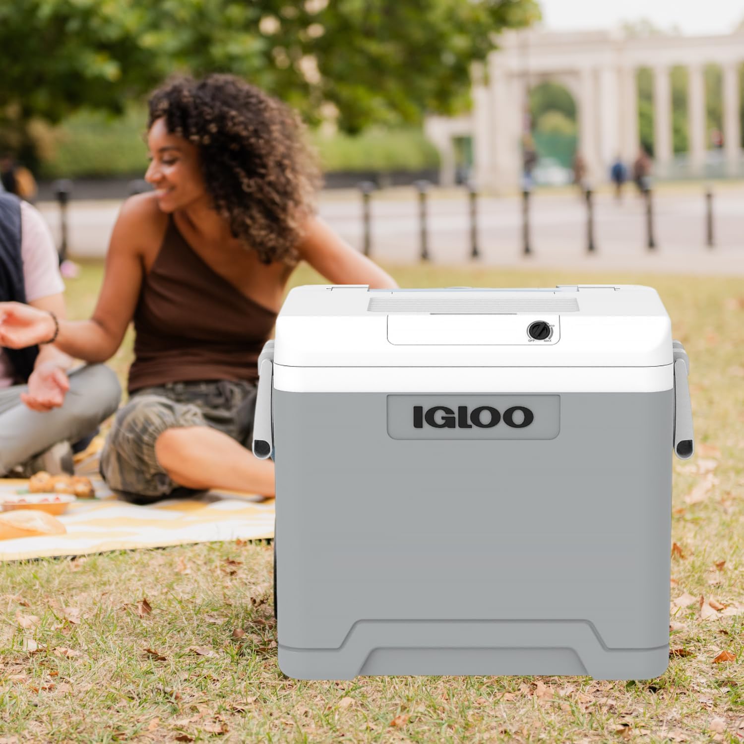 IGLOO IE42 AC/DC elektrische Kühlbox (42 L) für 67,63 Euro 💸 | EasyDealz